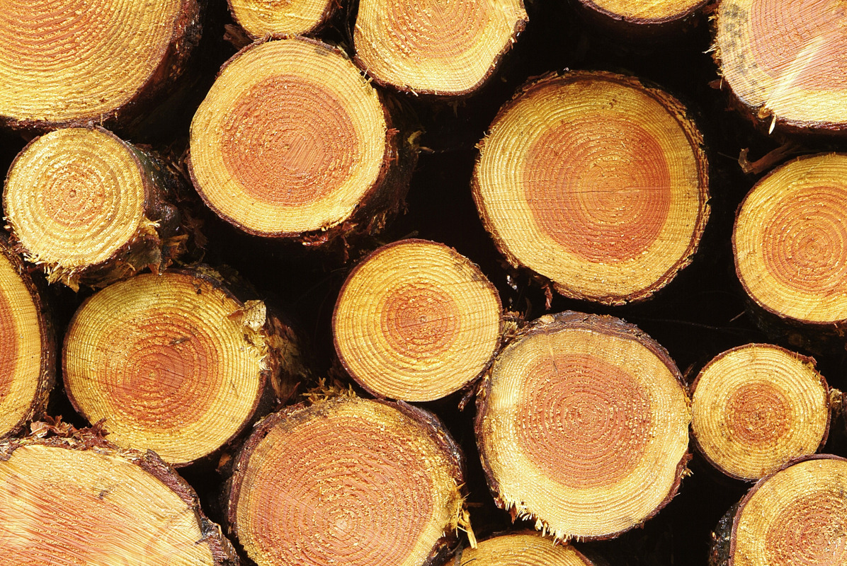 Pulp & Paper - Alfa Laval CN