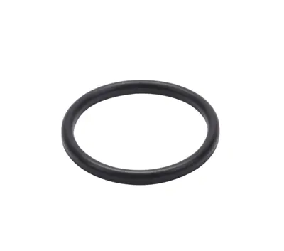 GASKET G DN80 EPDM - Hygienic fittings DIN EN 10357-A - Alfa Laval US